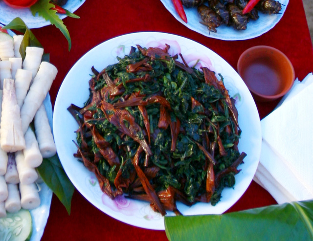 Về Mường So ăn đặc sản…. lá ngón